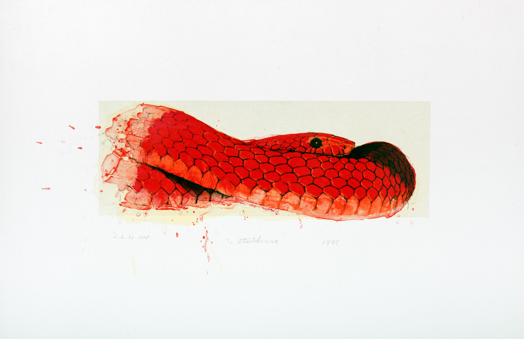 Robert Stackhouse – Ruby Lawrence, 1995 – The Lawrence Lithography ...